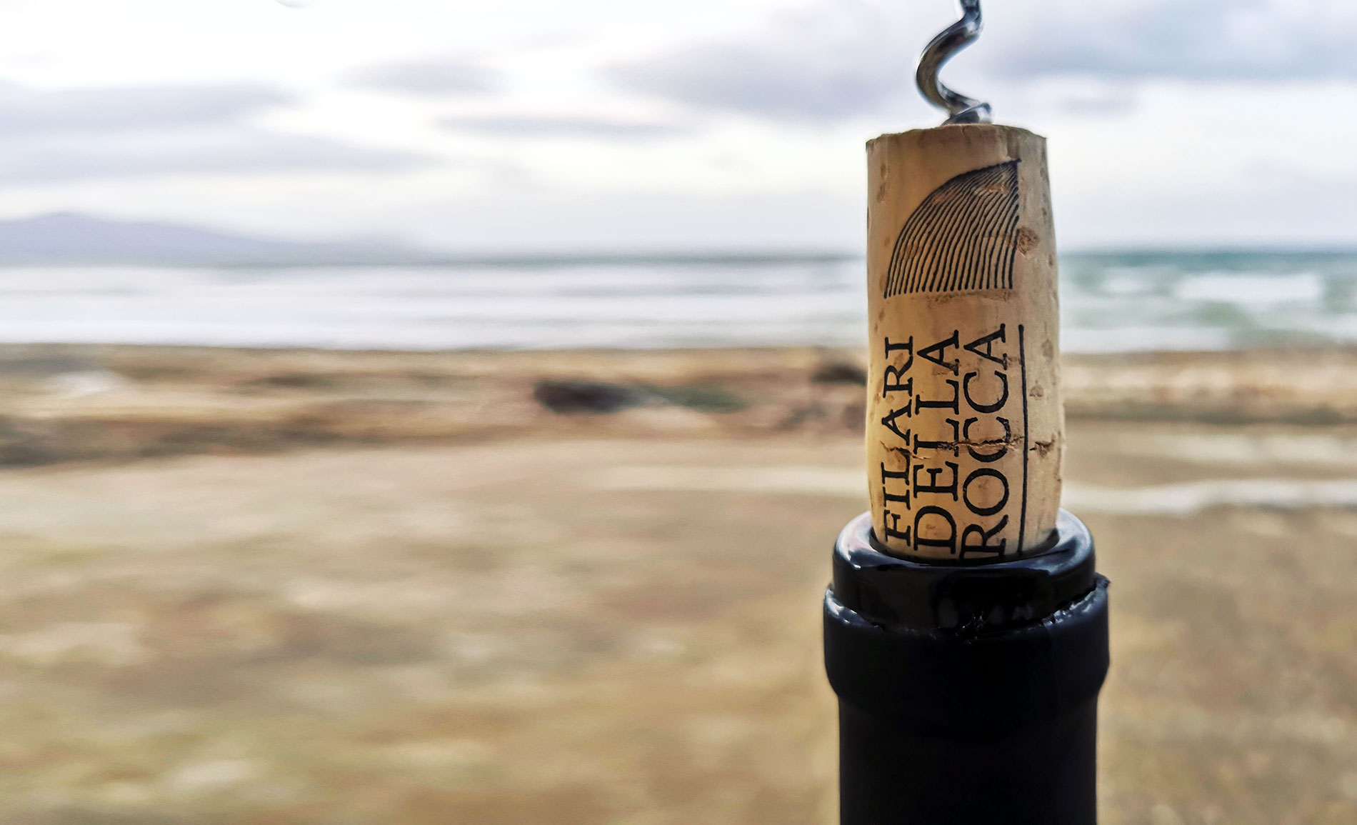 Home Filari Della Rocca - Producers of organic Sicilian wine and ...